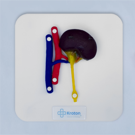 Laparoscopic trainers - Medical Technology - Kroton - Check!