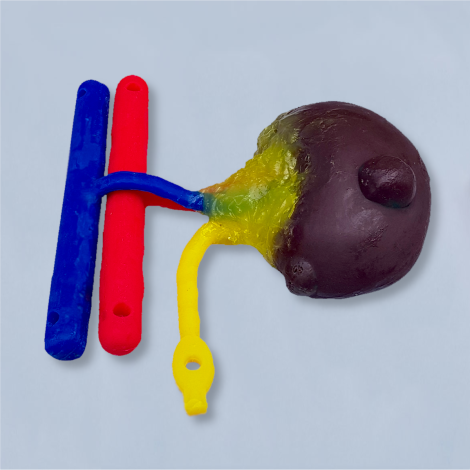 Laparoscopic trainers - Medical Technology - Kroton - Check!